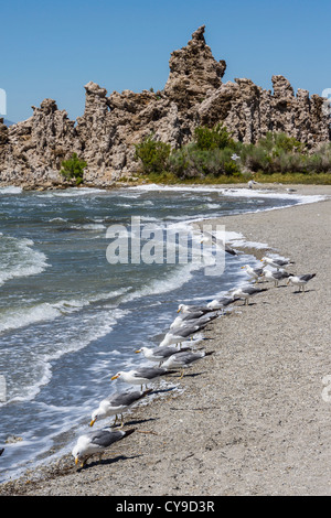 Sand tufa formations on the south shore of Mono Lake, Mono Basin ...