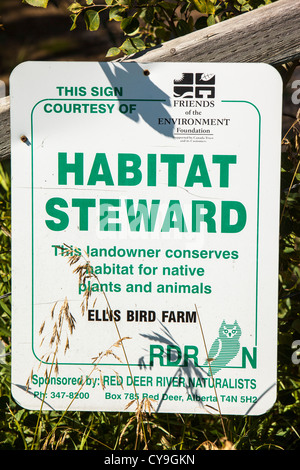Ellis Bird Farm in Alberta, Canada, famous for its density of nesting ...