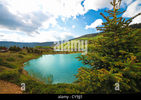 Scenic view of Shudu Lake of Pudacuo National Park at Shangri-la ...