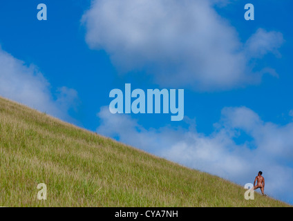 Haka Pei Banana Trunk Competition, Tapati Festival, Easter Island Stock ...