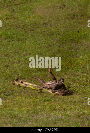 Man On Banana Trunk During Haka Pei Competition During Tapati Festival ...