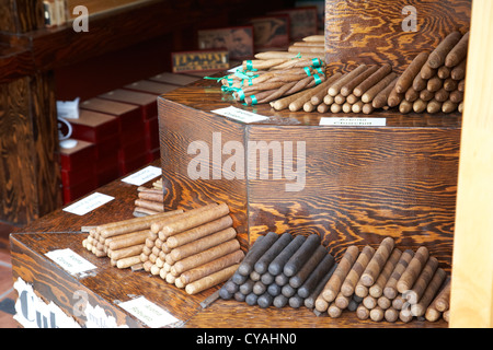 cuban style cigars on sale in a shop in key west florida usa Stock ...