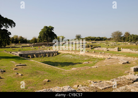 The Roman remains of the gymnasium and swimming pool of Paestum, south ...