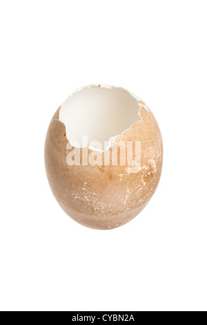 Studio shot of cracked, empty chicken egg shells in an egg box on a ...