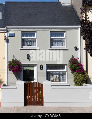 Typical terraced houses with small front garden, two red doors, Dublin ...