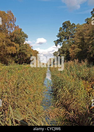 Holme Posts, Holme National Nature Reserve Fenland, Cambridgeshire UK ...