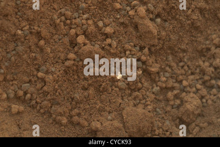 Mars Curiosity Rover Sand Closeup Stock Photo - Alamy