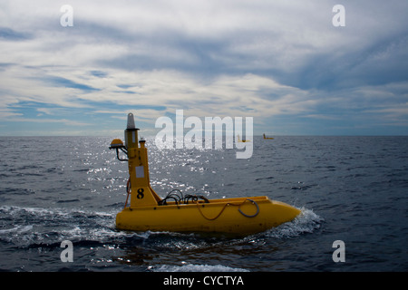 Tail buoy, towed on the end of 4 miles streamer cables from CGG Alizé ...