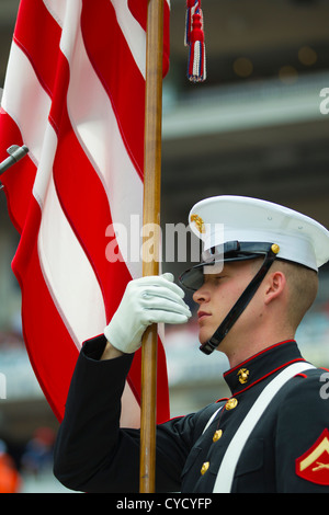 Honor guard at a baseball game Stock Photo - Alamy