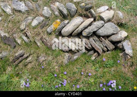 Cornish slate wall on the coastal path between Tintagel and Trebarwith ...