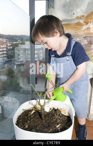 2 year old kid watering a small tree Stock Photo - Alamy