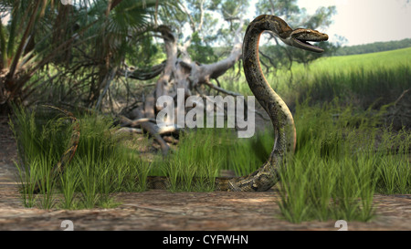 3D illustration of a Burmese python or Python bivittatus, one of the ...