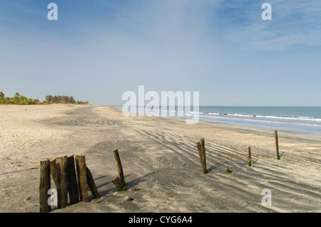 Kotu Beach, The Gambia, West Africa Stock Photo - Alamy