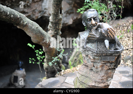 Statue of Robert Broom holding the skull of Mrs Ples Plesianthropus ...