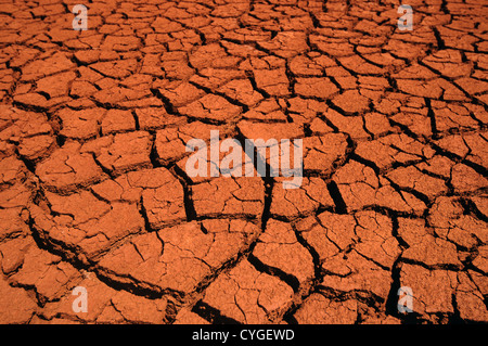 Cracked mud on dry lakebed of Rowles Lagoon, Credo Station, Western ...