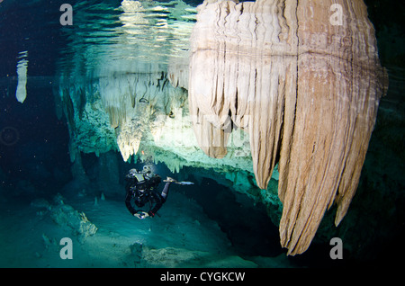 Cave diver inside the cenote Grand Cenote, Cenotes, Tulum, Yucatan ...
