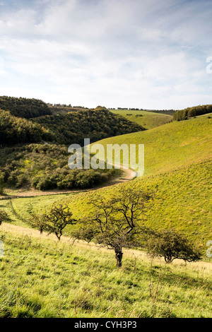 Deepdale on the Yorkshire Wolds Stock Photo - Alamy