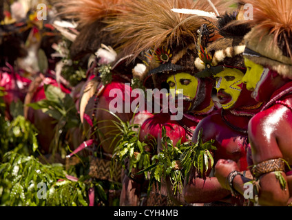 A ceremonial Huli wig/headdress, Tari Valley, Papua New Guinea Stock ...
