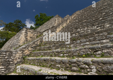 Steep steps at the base of Caana pyramid, Caracol ancient Mayan site ...