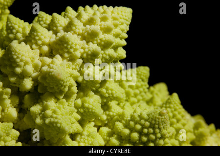 Fractal Cauliflower Romanesco Brassica heirloom vegetables fractals are ...
