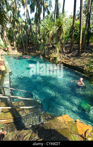 Mataranka Thermal Pool, Northern Territory, Australia Stock Photo - Alamy