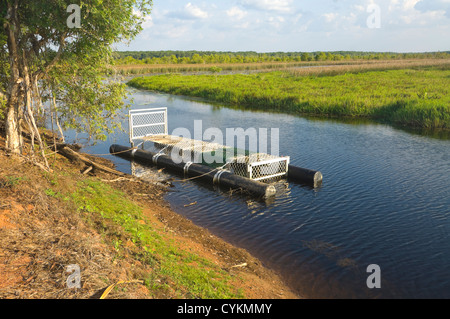 Fogg Dam, NT Stock Photo: 169584676 - Alamy