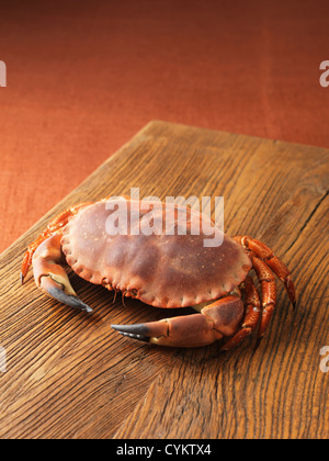 Cooked crab on wooden board/ Seafood boiled red stone crab with spices ...