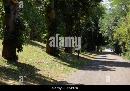 Tree lined path in Battersea Park in London, England Stock Photo - Alamy