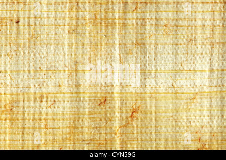 Ancient worn parchment or old papyrus scroll isolated Stock Photo - Alamy