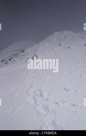 Mt Arrowsmith Summit Stock Photo - Alamy
