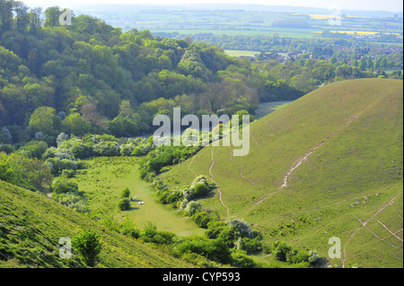 Barton Hills National Nature Reserve in Barton-le-Clay, Bedfordshire ...