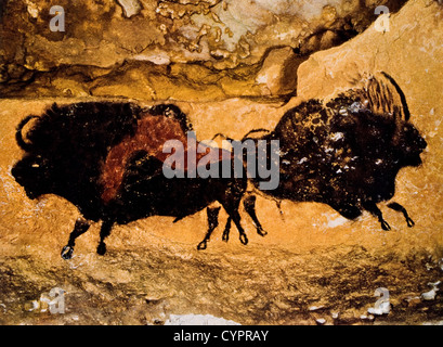 Bison, prehistoric painting, cave painting, about 25000 BC, Cueva de ...