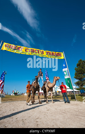 People riding camels at the annual Great CIrcus Parade, Milwaukee ...