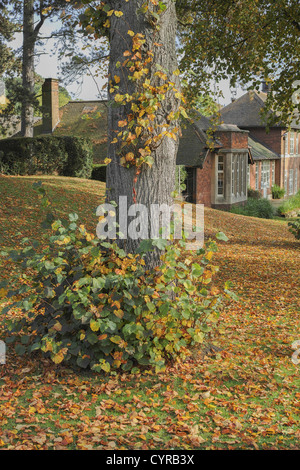 classic english countryside england uk Stock Photo - Alamy