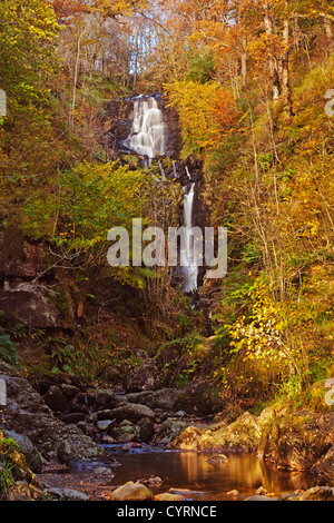 Little Fawn Waterfall Stock Photo - Alamy