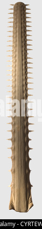 An Indonesian/Pacific sawfish sword (rostrum), beginning of the 20th ...