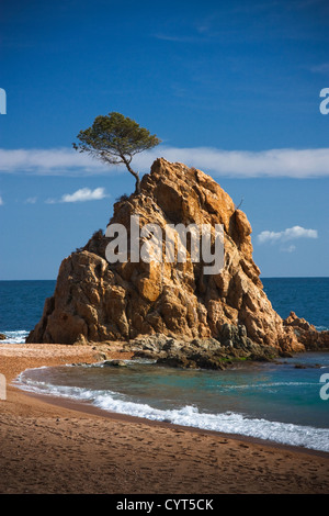 Banyeres de Ses Dones beach. Tossa de Mar (Costa Brava). La Selva ...