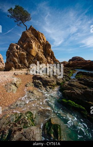 Banyeres de Ses Dones beach. Tossa de Mar (Costa Brava). La Selva ...