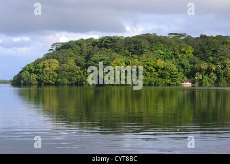 Coastal house and jungle, Pohnpei, Federated States of Micronesia Stock ...