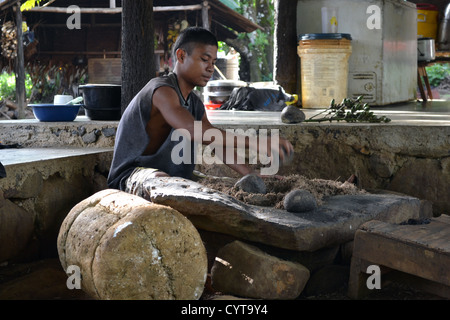 Preparation of Sakau, traditional Micronesian beverage, Madolenihmw ...