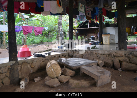 Preparation of Sakau, traditional Micronesian beverage, Madolenihmw ...