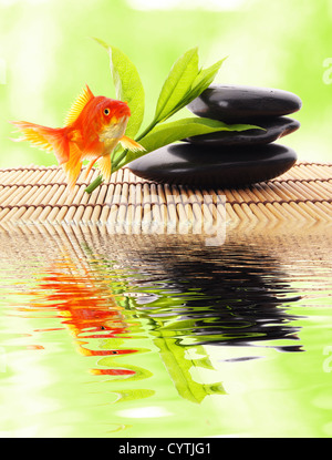 zen or spa concept with stones goldfish and water reflection Stock ...