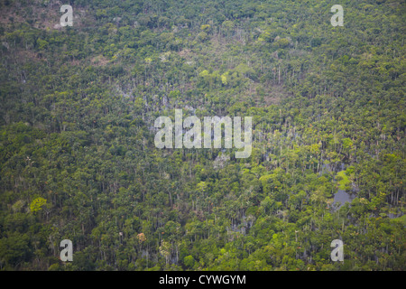Aerial view of flooded Amazon forest - the flood Hydropower Plant ...