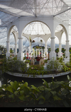 BRAZIL. ORCHID HOUSE AT THE BOTANIC GARDENS IN RIO DE JANEIRO Stock ...