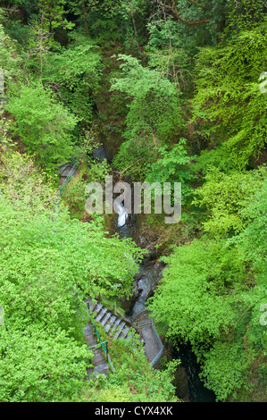 Mynach Falls, Devil's Bridge, Rheidol Valley, Ceredigion, Wales Stock ...