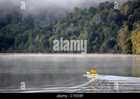 Kayaking on the Pieman River, near Corinna. The Tarkine, Tasmania ...