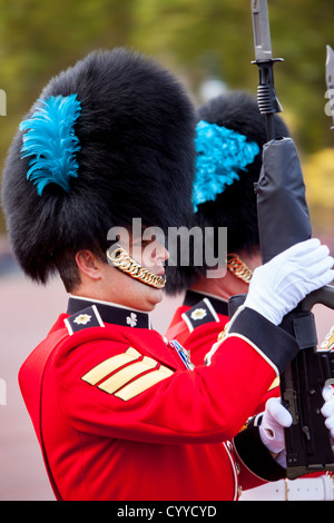 Members of the Scots Guard on parade at Buckingham Palace, London ...
