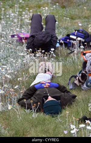 Bushwalker in the Australian Alps. Kosciuszko National Park, New South ...