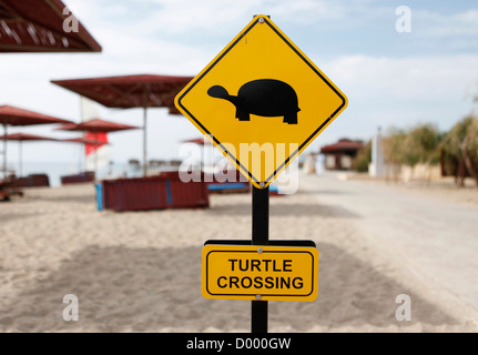 Yellow warning sign TURTLE CROSSING, turtles crossing the beach for ...