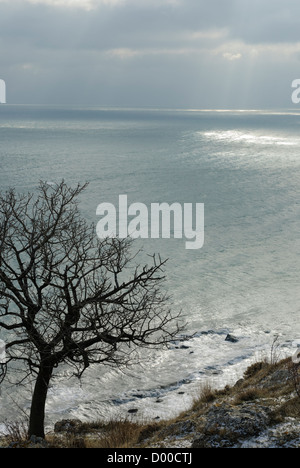 seaside winter landscape crimea ukraine black sea Stock Photo - Alamy